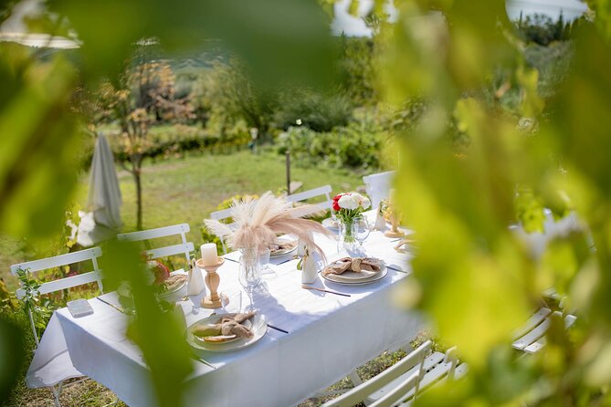 Dinner in the Vineyard French Riviera - Live Music and Entertainment