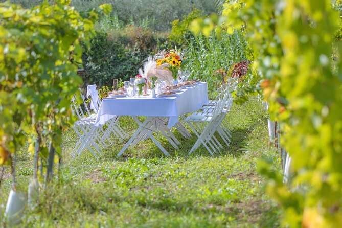 Dinner in the Vineyard French Riviera - Flexibility and Cancellation Policy
