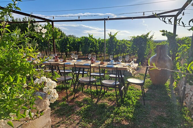 Dinner in the vineyard with wine tasting and walk - Practical Aspects and Value