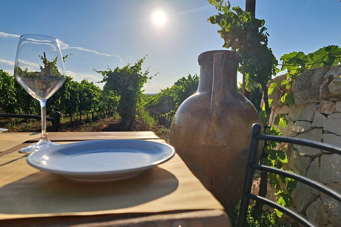 Dinner in the vineyard with wine tasting and walk - Who Will Appreciate This Tour?
