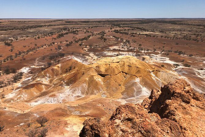 Dinosaur Stampede 3/4 Day Tour - Key Points