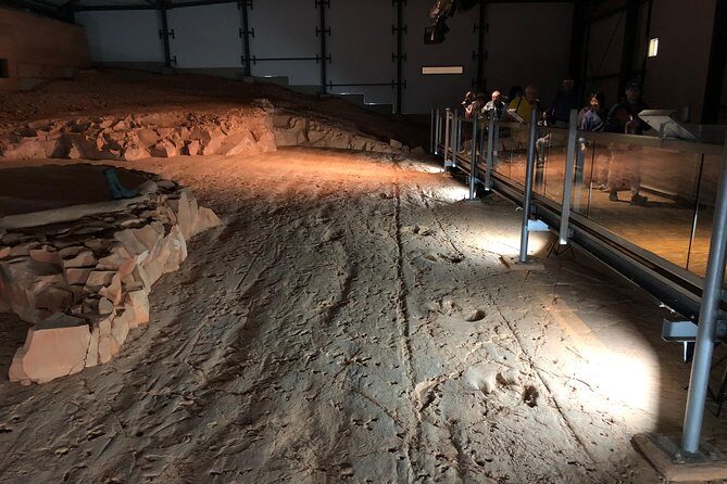 Dinosaur Stampede 3/4 Day Tour - A Detailed Look at the Dinosaur Stampede Tour