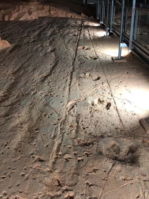 Dinosaur Stampede 3/4 Day Tour - An In-Depth Look at the Dinosaur Stampede 3/4 Day Tour