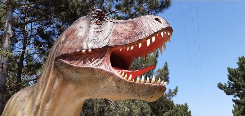 Dinosaurs Park - Family Half day tour - An In-Depth Look at the Tour Experience