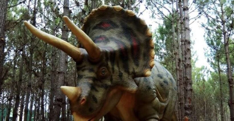 Dinosaurs Park - Family Half day tour - Who Will Love This Tour?