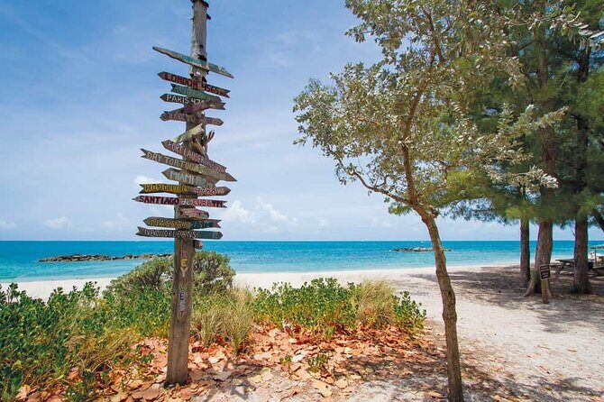 Direct Shuttle from Orlando to Key West (Up to 15 people group) - FAQs