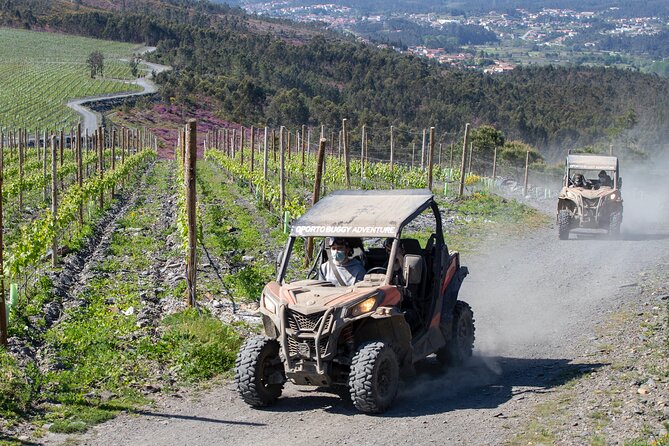 Dirt and Dust Tour by Oporto Buggy - Exploring the Northern Portugal Landscape