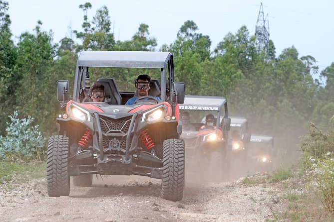 Dirt and Dust Tour by Oporto Buggy - The Sum Up