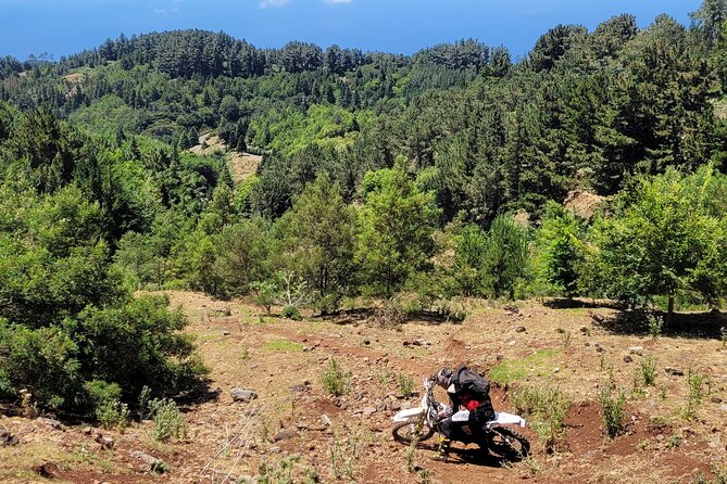 Dirt-Bike Tour in Madeira - Tour Suitability and Requirements