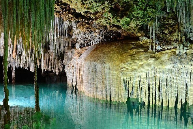 Discover a secret river in middle of the Jungle. Buffet included. - Transportation and Logistics