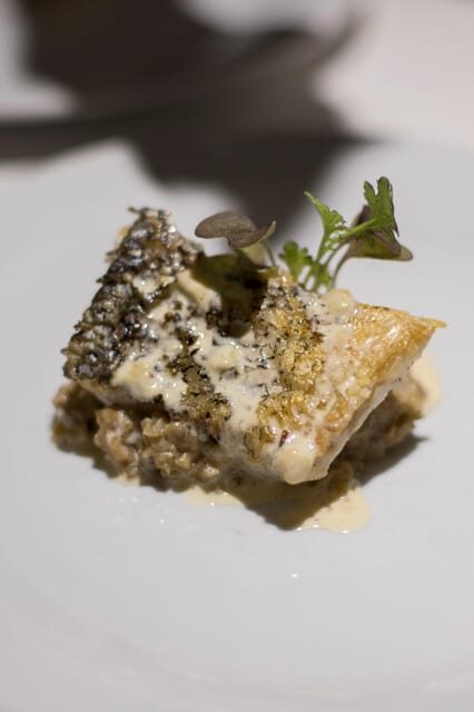 Discover a unique and immersive gastronomic experience - Practical Details and Tips