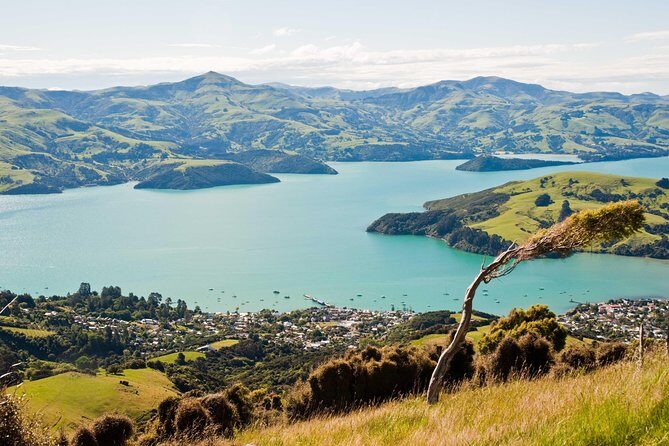 Discover Akaroa: Self Guided Audio Tour - Key Points