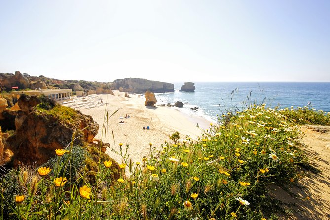 Discover Albufeira in a Tuk Tuk - Highlights of the Albufeira Tuk Tuk Experience