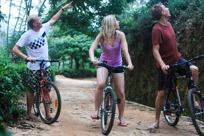 Discover Ancient Ella by Cycling - The Itinerary: From Waterfalls to Legends and Valleys