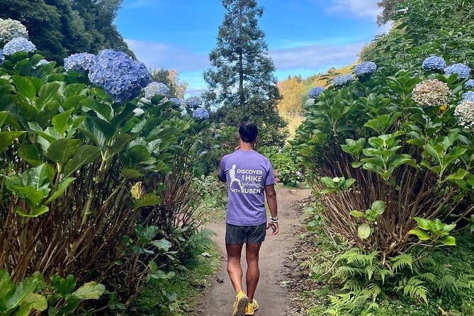 Discover and Hike São Miguel Island with Guide - Who Is This Tour Best For?