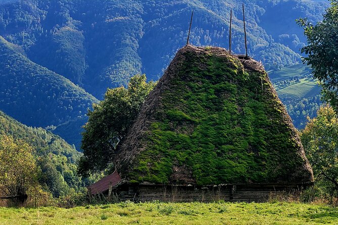 Discover Apuseni Mountains - Scarita Summit,Sipote Waterfall and Dumesti Village - Sipote Waterfall - A Cascading Marvel