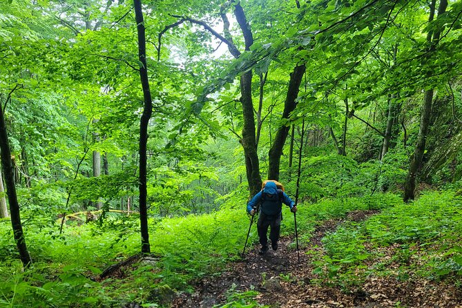 Discover Apuseni Mountains - Scarita Summit,Sipote Waterfall and Dumesti Village - Hiking Through the Diverse Flora and Fauna