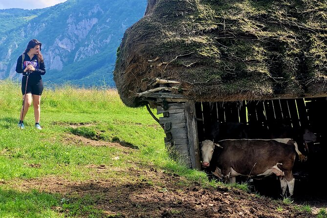 Discover Apuseni Mountains - Scarita Summit,Sipote Waterfall and Dumesti Village - Personalized Service and Accommodating Guide