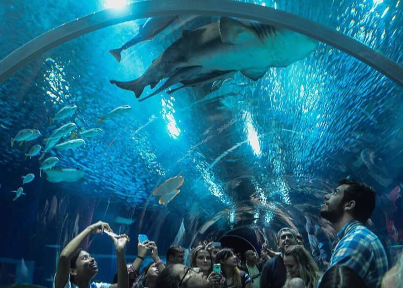 Discover AquaRio & Olympic Boulevard: Marine Life and Art - What’s Included and What’s Not