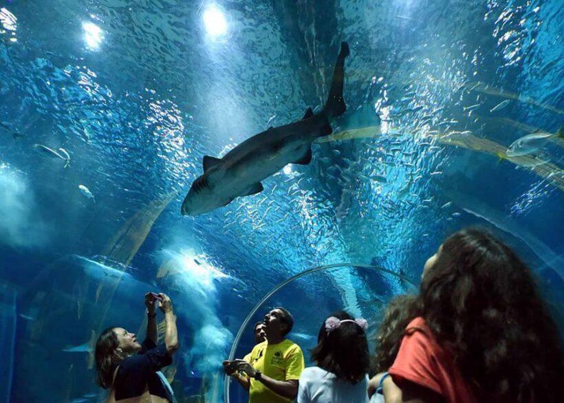 Discover AquaRio & Olympic Boulevard: Marine Life and Art - Practical Tips for Participants