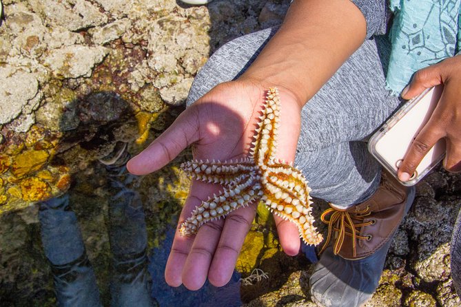 Discover Arrábida: The Secret Paradise - Thrills of Cliff Jumping: An Unforgettable Experience