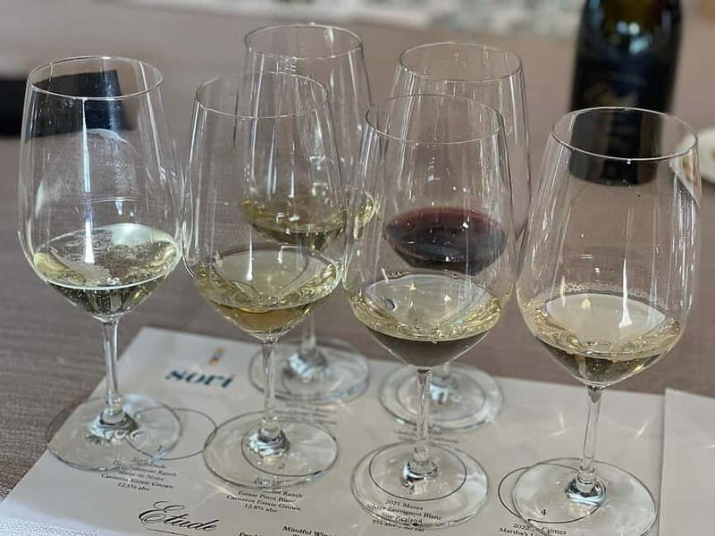 Discover Arrábida: Wine and Scenic Wonders - Practical Tips for Your Day