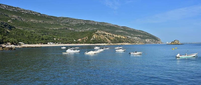 Discover Arrábida: Wine and Scenic Wonders - Is This Tour Right for You?
