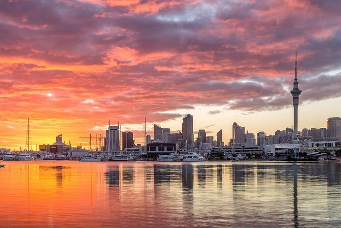 Discover Auckland City Tour: The City of Sails - Who Should Consider This Tour?