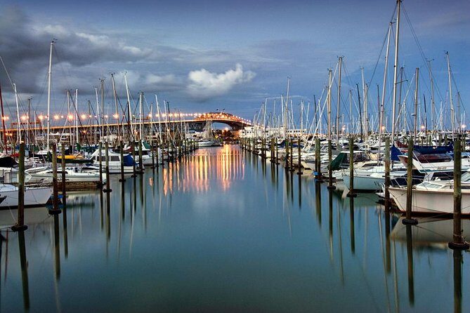 Discover Auckland City Tour: The City of Sails - The Sum Up