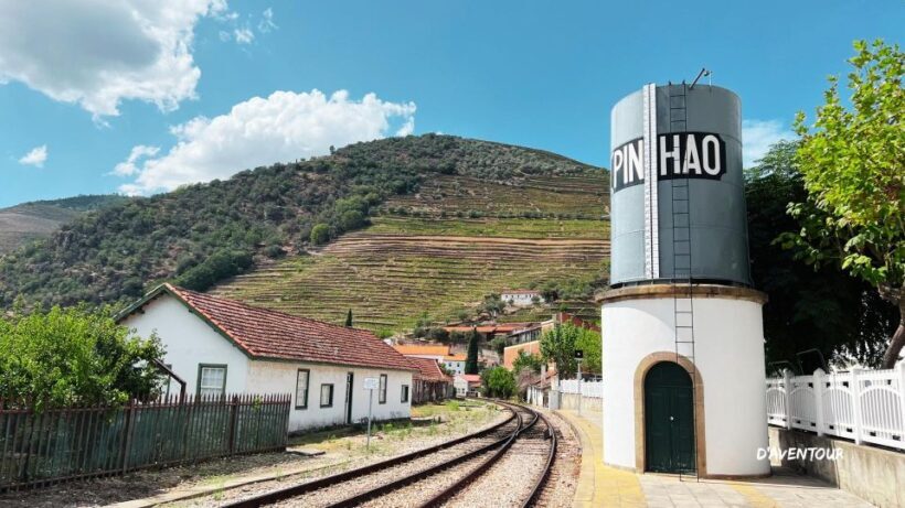 Discover Authentic Douro with D'AvenTour - An In-Depth Look at the Tour
