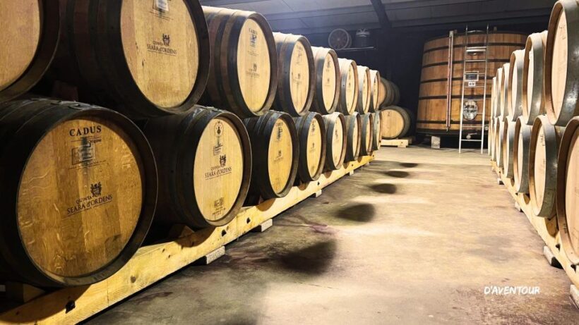 Discover Authentic Douro with D'AvenTour - Who Will Enjoy This Tour?