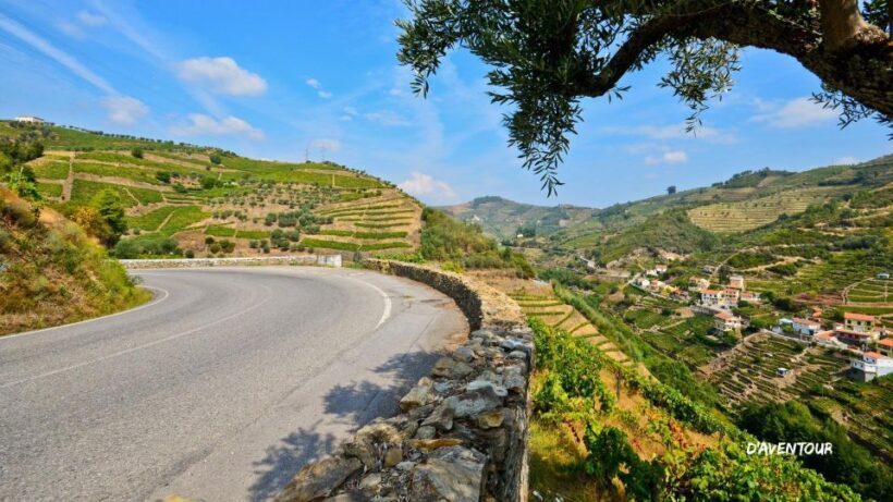 Discover Authentic Douro with D'AvenTour - FAQ