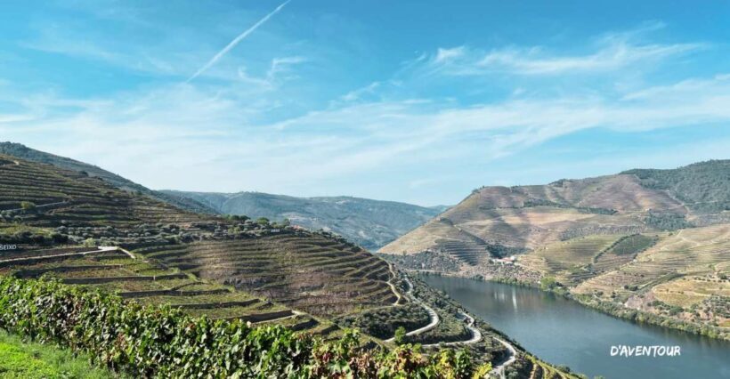 Discover Authentic Douro with D'AvenTour - Final Verdict
