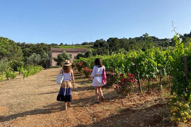 Discover Authentic Flavors of Elba Island: Winery Tour & Tasting - Exploring the Elba Winery Tour & Tasting: What to Expect