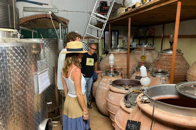 Discover Authentic Flavors of Elba Island: Winery Tour & Tasting - Who Is This Tour Best For?