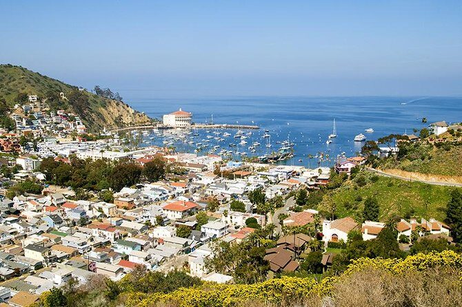 Discover Avalon: Catalina Scenic Tour - Who Should Book This Tour?