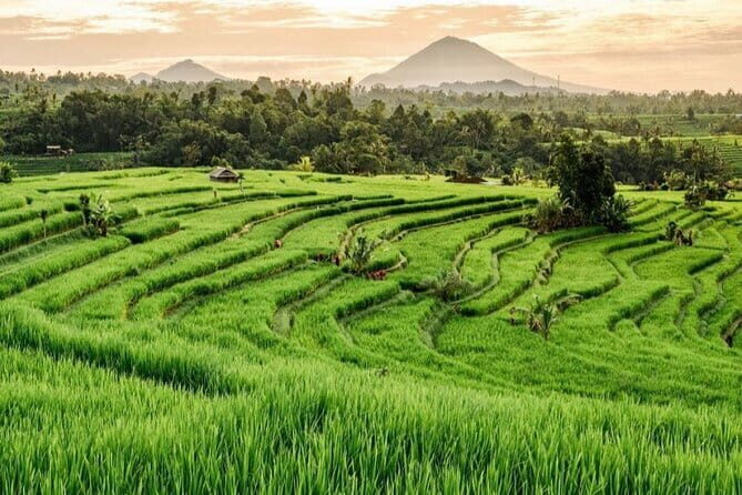 Discover Bali Best Places in 2 Days Tour - Frequently Asked Questions (FAQs)