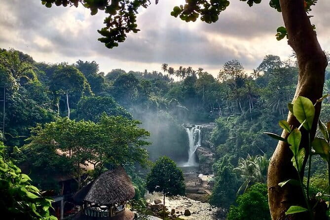 Discover Bali Best Tours: Tanah Lot, Monkey Forest, and Waterfall - What Makes This Tour Stand Out?