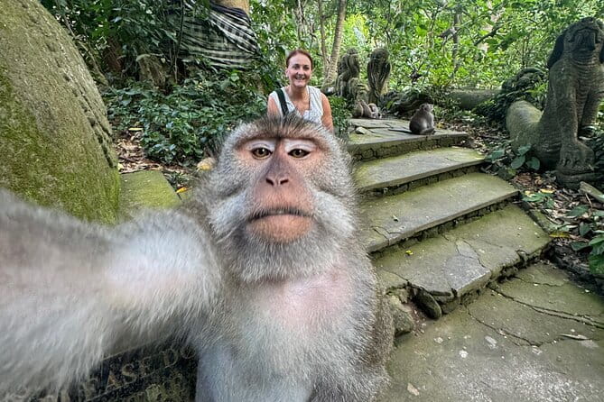 Discover Bali Best Tours: Tanah Lot, Monkey Forest, and Waterfall - Final Thoughts: Who Is This Tour Best For?