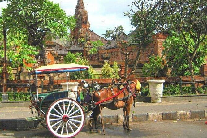 Discover Bali : Shore Excursion from Benoa Port with Free Wi-Fi - Key Points