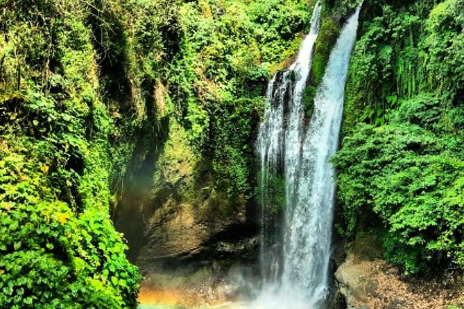 Discover Bali Your Way With Aman Bali Driver - The Itinerary Options and What You Can Expect