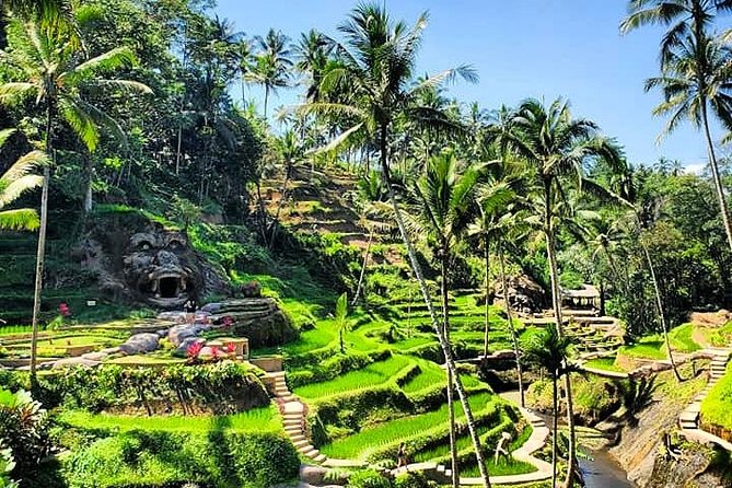 Discover Bali Your Way With Aman Bali Driver - Practical Tips for Booking
