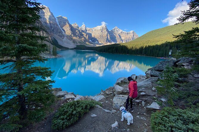 Discover Banff National Park with Dog Friendly Exclusive Tour - Authentic Experiences and Traveler Insights