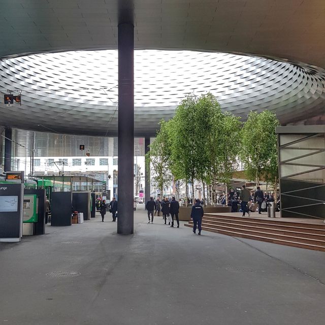 Discover Basels Charm: Exclusive Private Walking Tour - Transportation Options