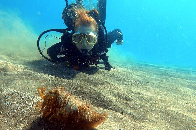 Discover Beginner Diving in Tenerife - Meeting Point and Transportation