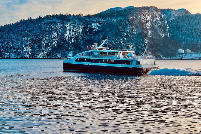 Discover Bergen on Foot and Boat - Taking in the Citys Cultural Tapestry