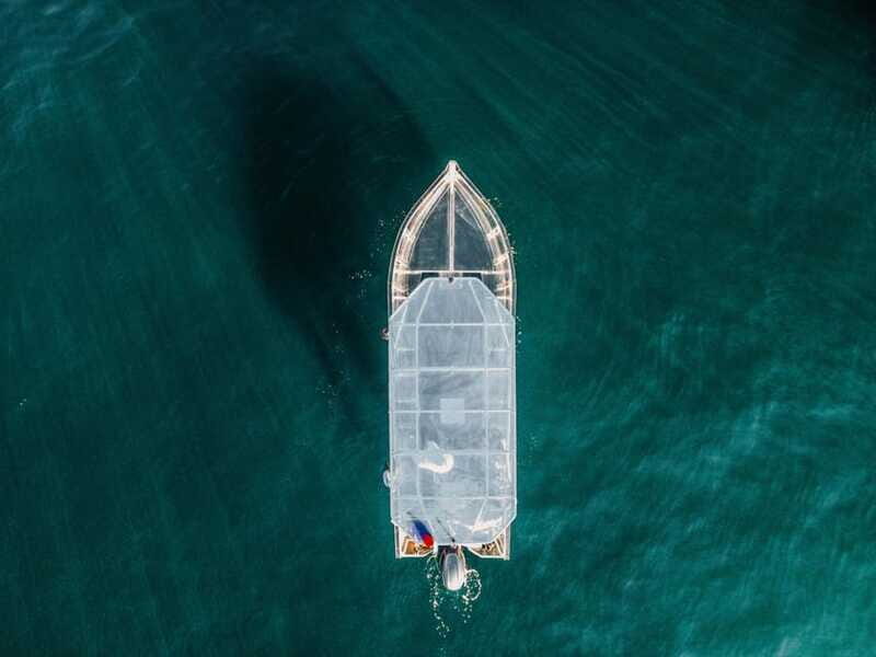 Discover Cabo San Lucas Clear Boat Glass Factory & Tequila - Authentic and Practical Insights from Reviews