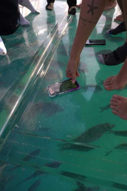 Discover Cabo San Lucas Clear Boat Glass Factory & Tequila - The Sum Up: Who Should Consider This Tour?