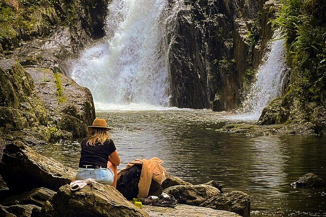 Discover Cairns Private Day tour with optional airport drop-off - Authentic Traveler Insights