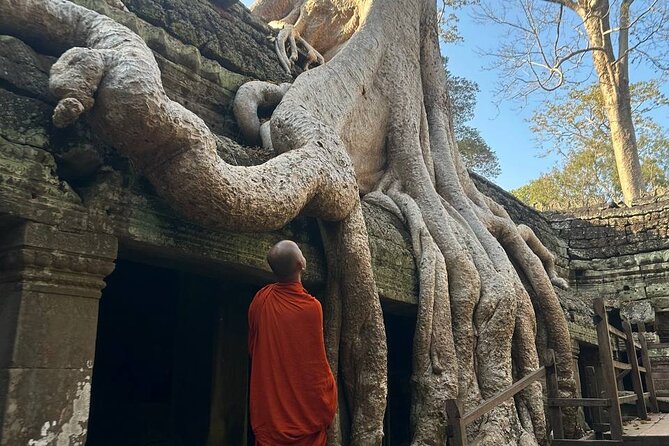 Discover Cambodias Heart: Siem Reap to Battambang Tours - Evaluating Value and Practicalities